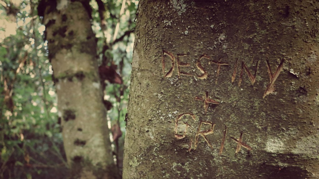 Whitney Henry-Lester / Destiny and Grit Podcast » Spaceworks