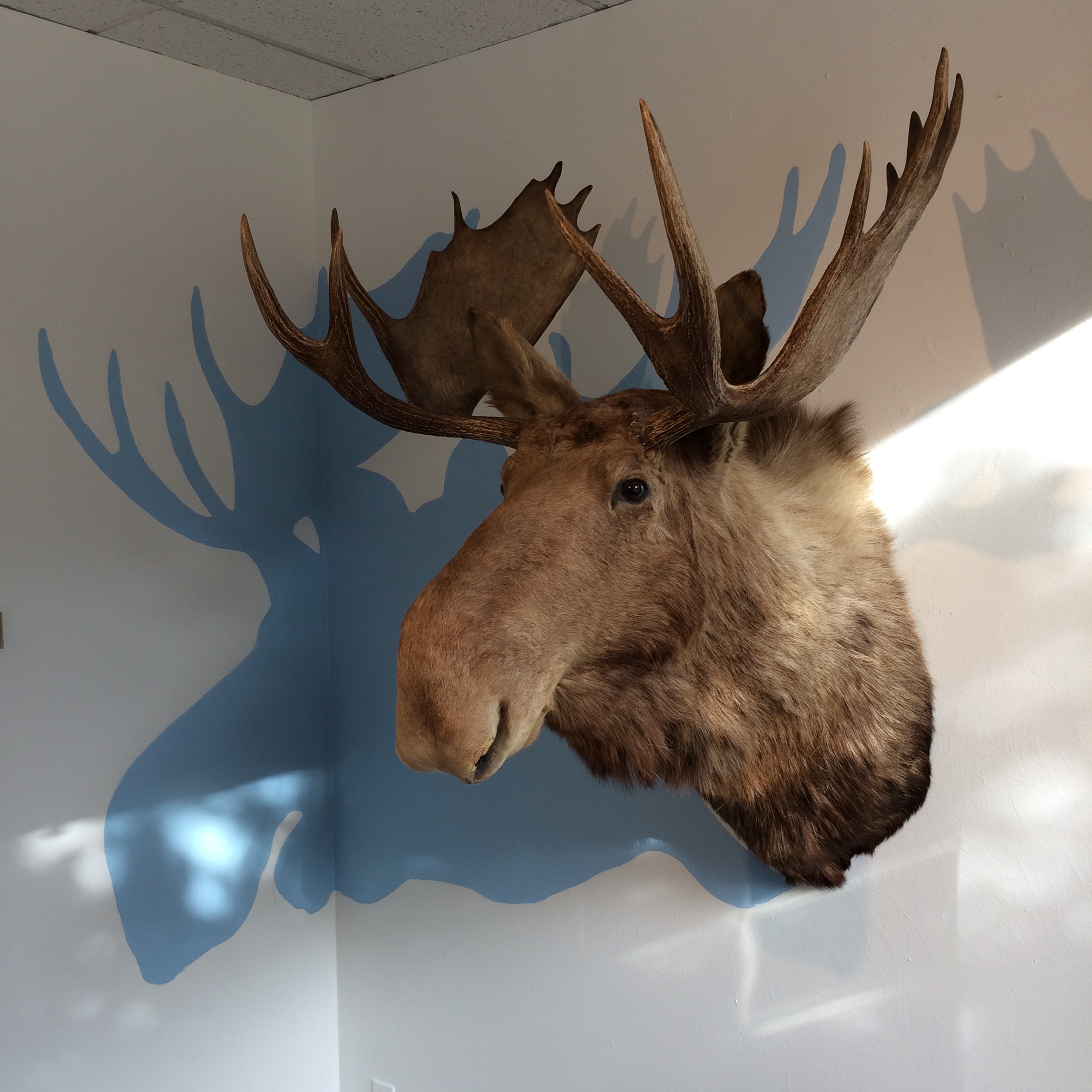 Liminal » Spaceworks